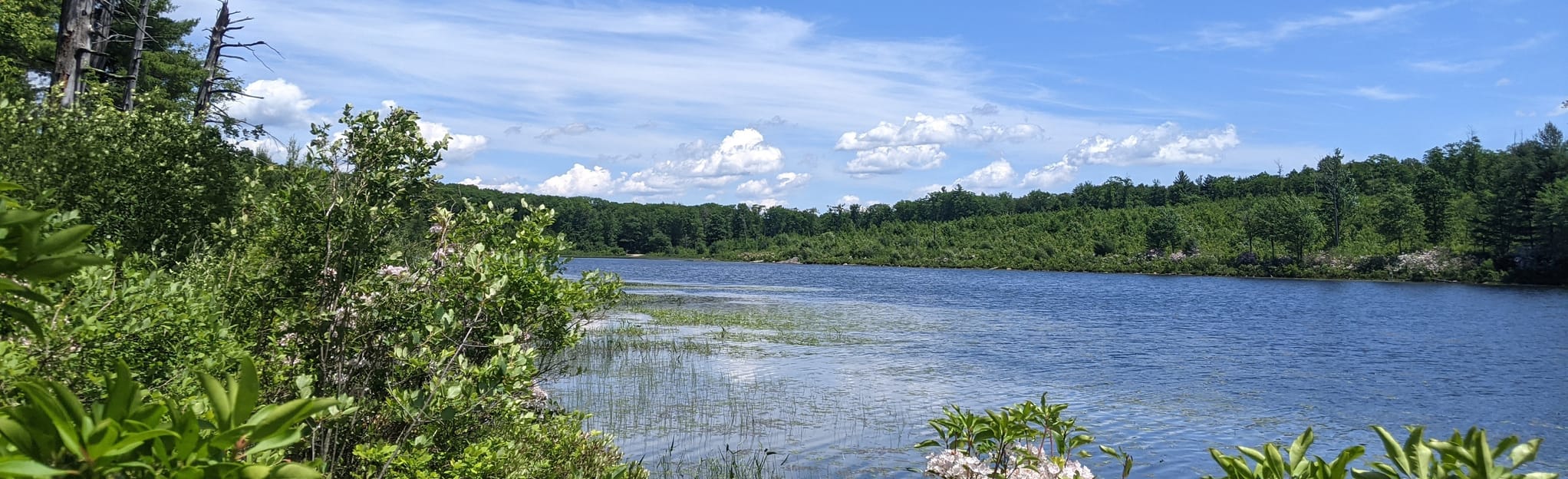 Wickett Pond Loop, Massachusetts - 16 Reviews, Map | AllTrails