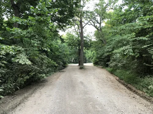 Best Hikes and Trails in Grand Lake State Park: Disney Area | AllTrails