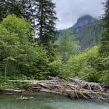 Hector Ferguson Lake Trail [CLOSED], British Columbia, Canada - 50 ...