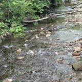 South Toe River Loop, North Carolina - 105 Reviews, Map | AllTrails