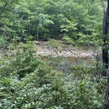 South Toe River Loop, North Carolina - 105 Reviews, Map | AllTrails