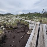 Mahoosuc Traverse, Maine - 35 Reviews, Map | AllTrails