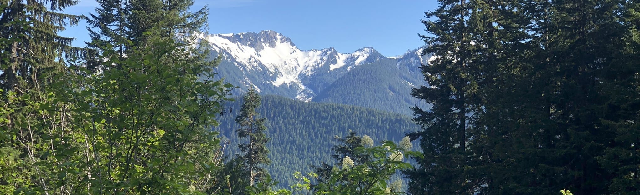 Monogram Lake Trail: 86 Reviews, Map - Washington | AllTrails