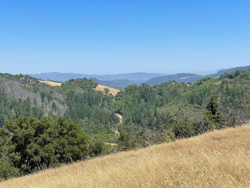 10 Best Hikes and Trails in Sugarloaf Ridge State Park | AllTrails