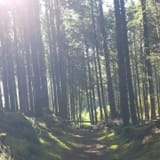 Agnes Creek Open Space Loop, Oregon - 113 Reviews, Map | AllTrails