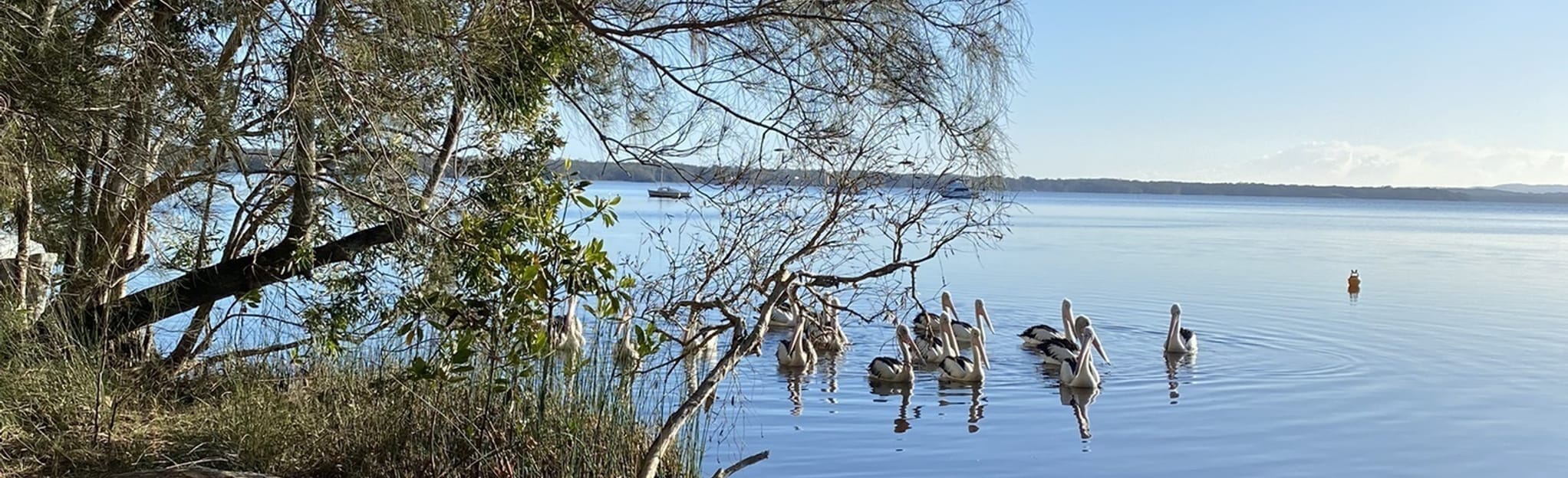 Habitat Noosa to Boreen Point, Queensland, Australia - Map, Guide ...