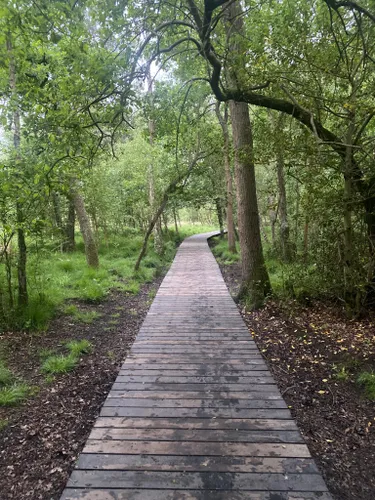 10 Best Trails and Hikes in Guildford | AllTrails