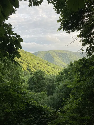 Best Hikes and Trails in Laurel Ridge State Park | AllTrails