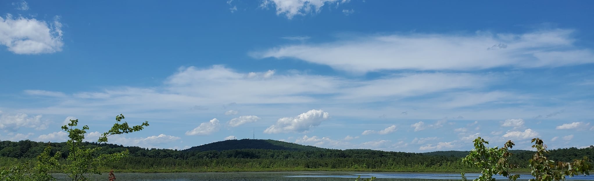 Ponkapoag Pond Trail, Massachusetts - 1,226 Reviews, Map | AllTrails