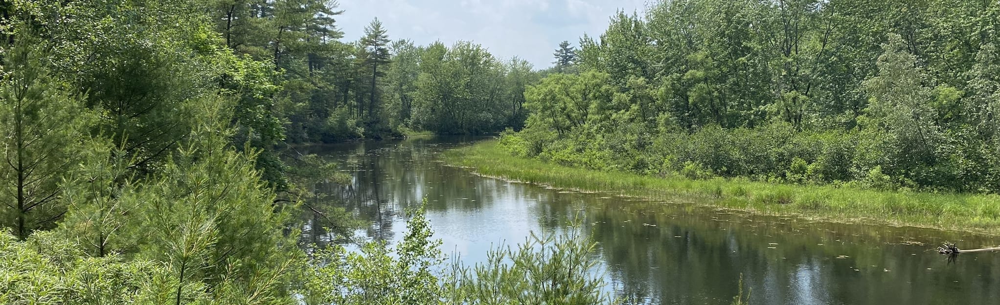 Sebago Lake State Park Outer Loop, Maine - 219 Reviews, Map | AllTrails