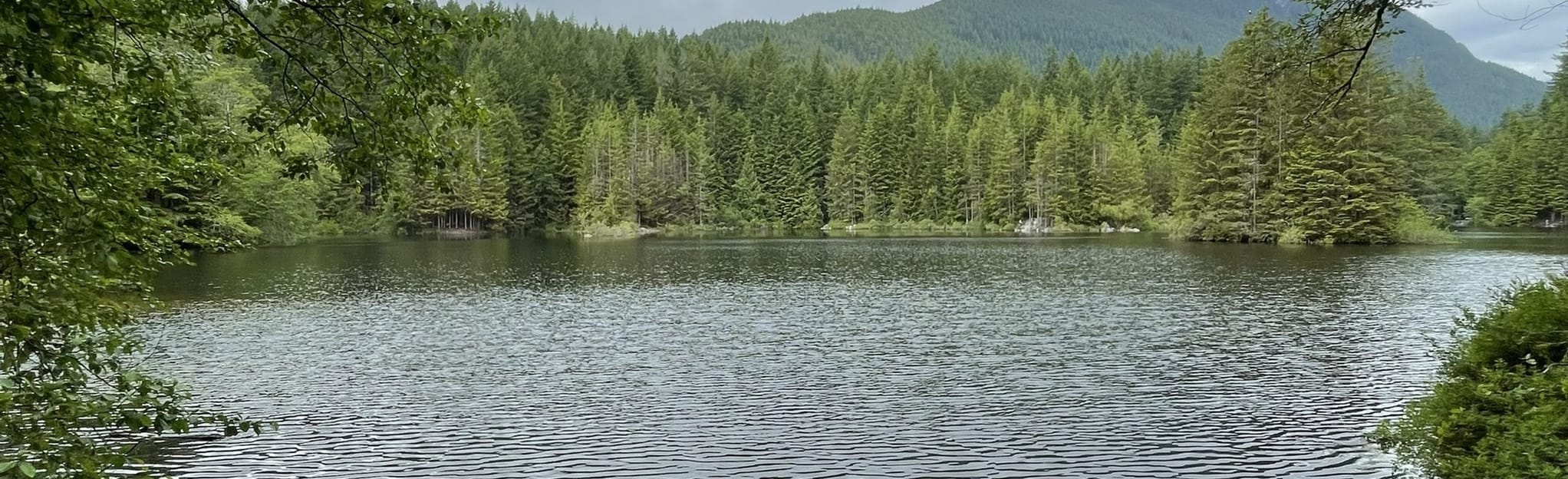 Varley Trail and Rice Lake loop, British Columbia, Canada - 292 Reviews ...