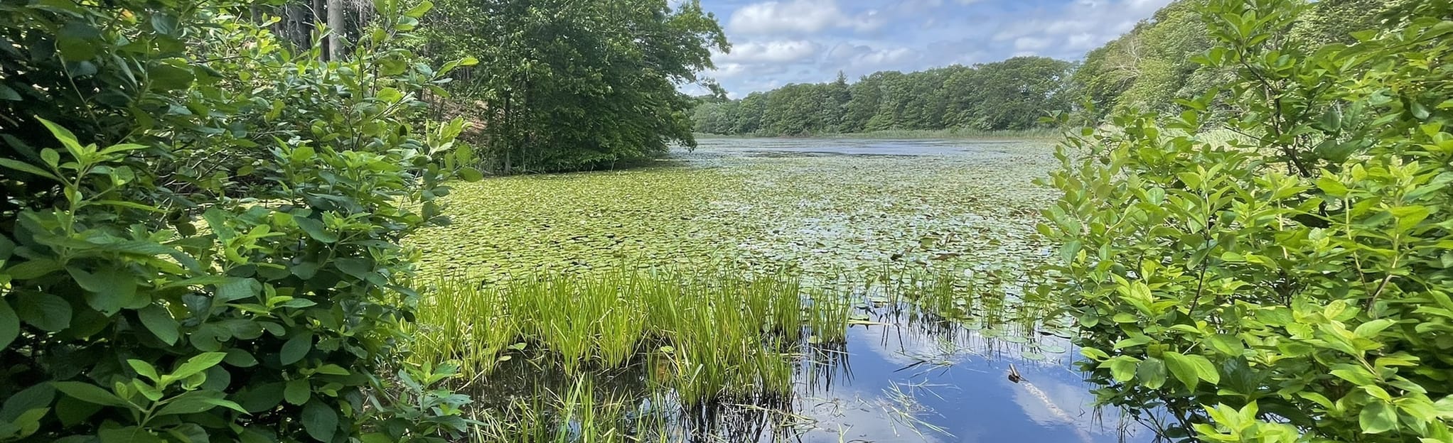 Skyline, Sawcut Notch, Indian Camp, and Pipe Loop: 601 Reviews, Map ...