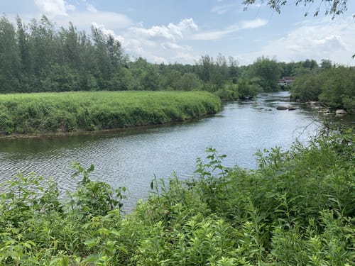 2023 Best Lake Trails in Yamaska National Park | AllTrails