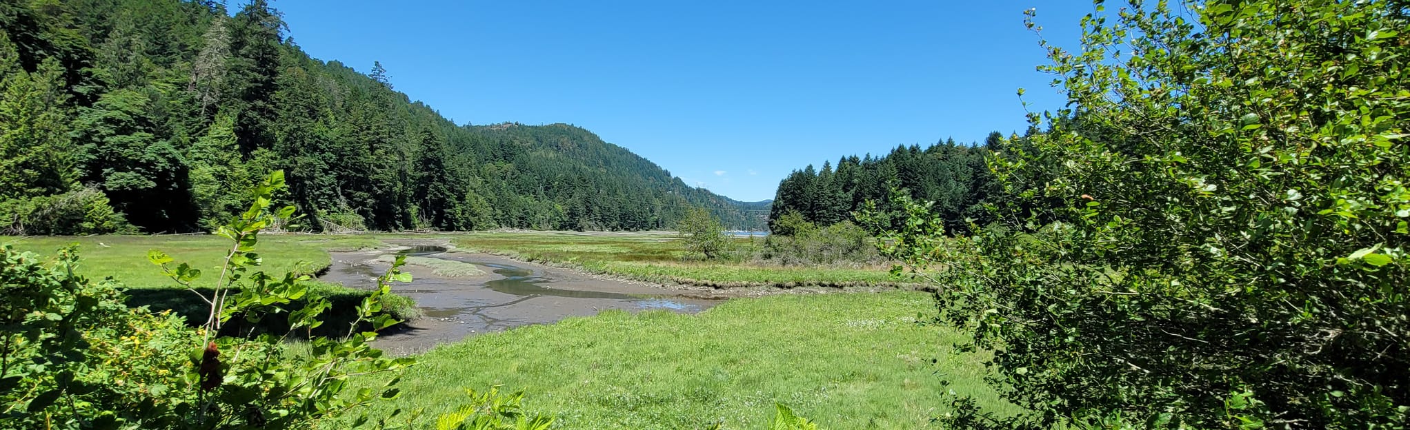 Goldstream to Finlayson Arm: 340 Reviews, Map - British Columbia ...