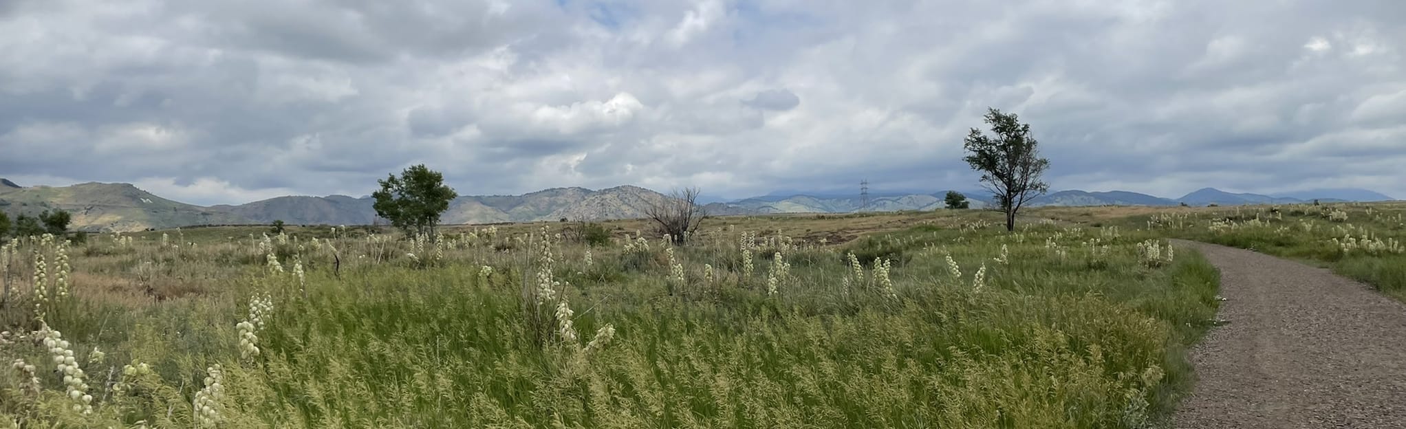 Lava Loop Trail: 63 Fotos - Colorado | AllTrails