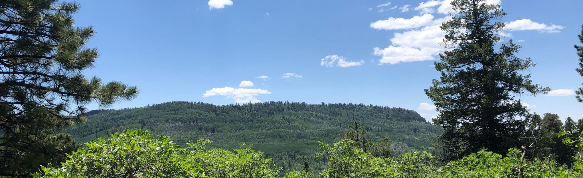 Chicken Creek and Rim Trail Loop, Colorado - 35 Reviews, Map | AllTrails