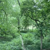 White River Greenway Loop, Indiana - 92 Reviews, Map | AllTrails