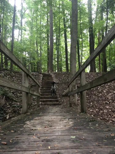Best Hikes and Trails in Trumbull Woods Park | AllTrails