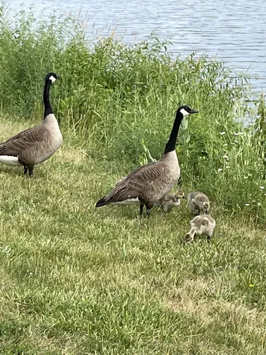 Best Hikes and Trails in Bergfield Recreation Area | AllTrails