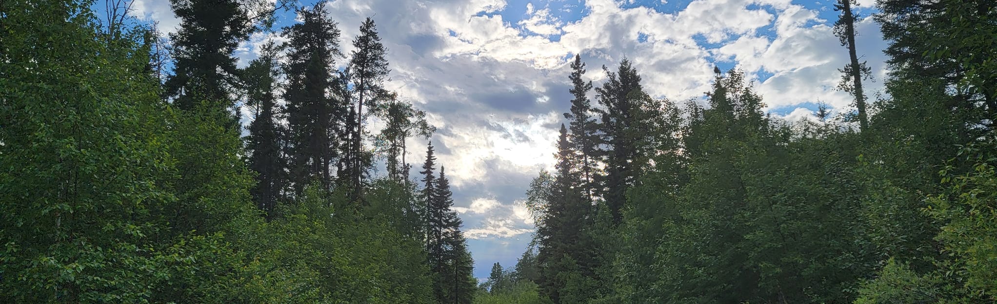 Duck Mountain South Loop: 4 Reviews, Map - Manitoba, Canada | AllTrails