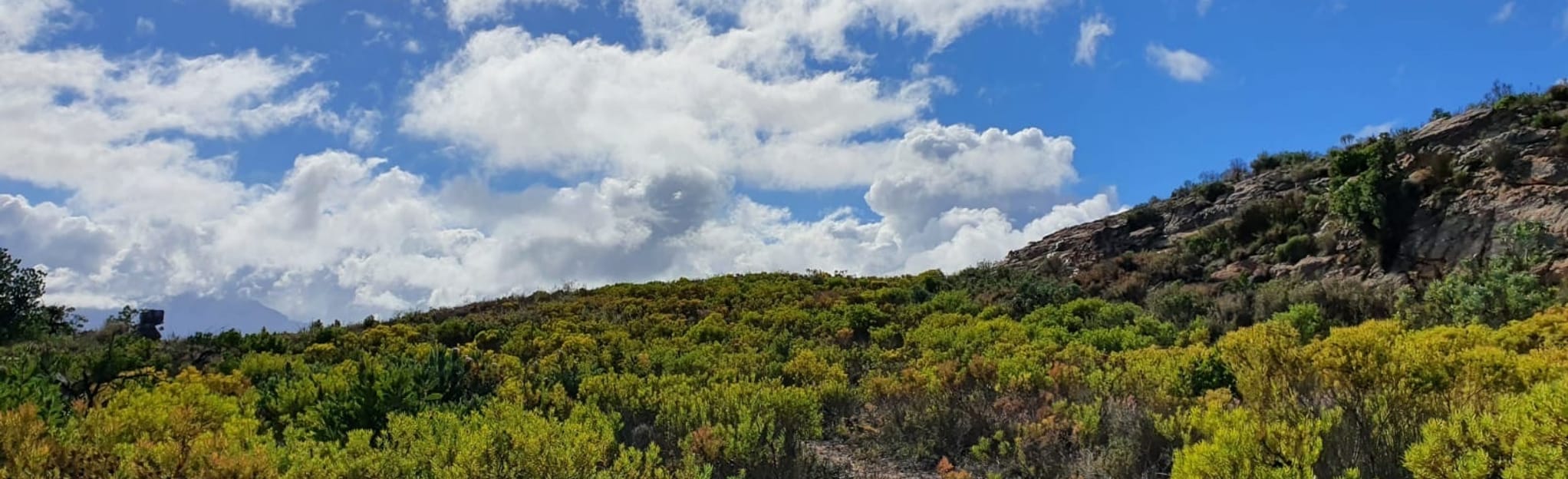 Wolfkop Nature Reserve Hike: 12 Reviews, Map - Western Cape, South ...