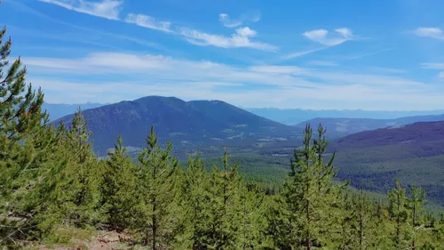 10 Best Trails and Hikes in Cranbrook | AllTrails