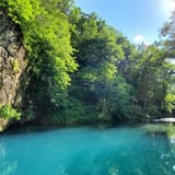 Blue Spring Trail, Missouri - 212 Reviews, Map | AllTrails
