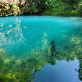 Blue Spring Trail, Missouri - 212 Reviews, Map | AllTrails