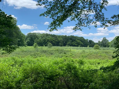 Best Hikes and Trails in Springfield Bog Metro Park | AllTrails