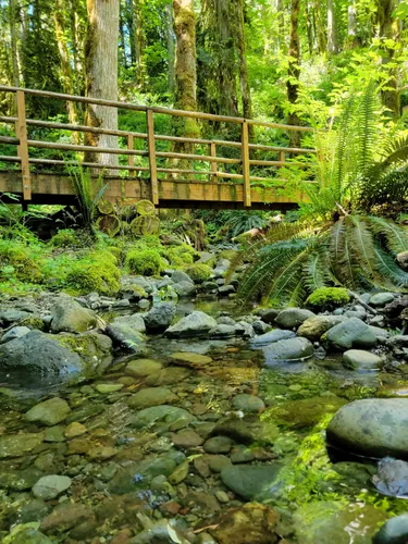 Best Views Trails in Dosewallips State Park | AllTrails