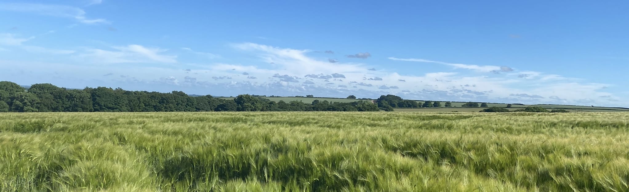 Wold Newton - East Ravendale - Hawerby - Beesby Circular, 197 Fotos ...