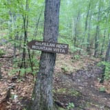 Swope Loop to Pine Hill, New Hampshire - 160 Reviews, Map | AllTrails