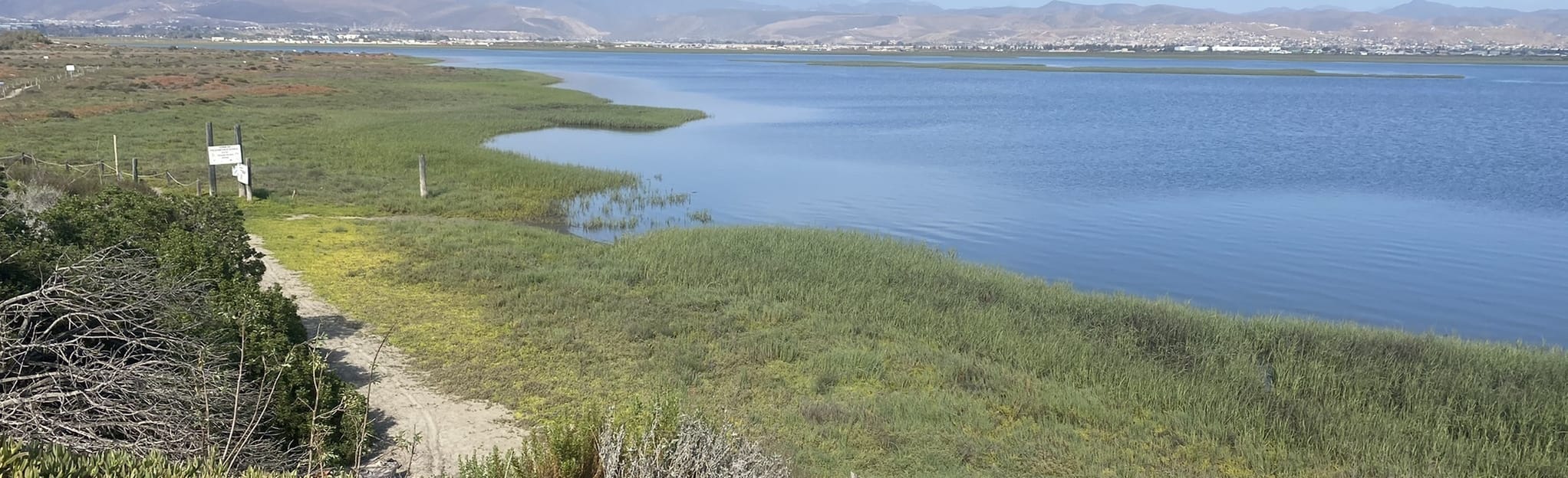 Lengüeta Arenosa: 6 fotos - Baja California, México | AllTrails