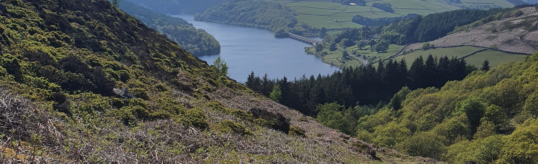 Bamford Edge Ladybower Circular, Derbyshire, England - 478 Reviews, Map ...