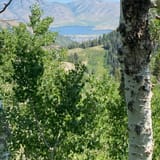 Inspiration Point OHV Route, Utah - 171 Reviews, Map | AllTrails