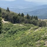 Inspiration Point OHV Route, Utah - 171 Reviews, Map | AllTrails