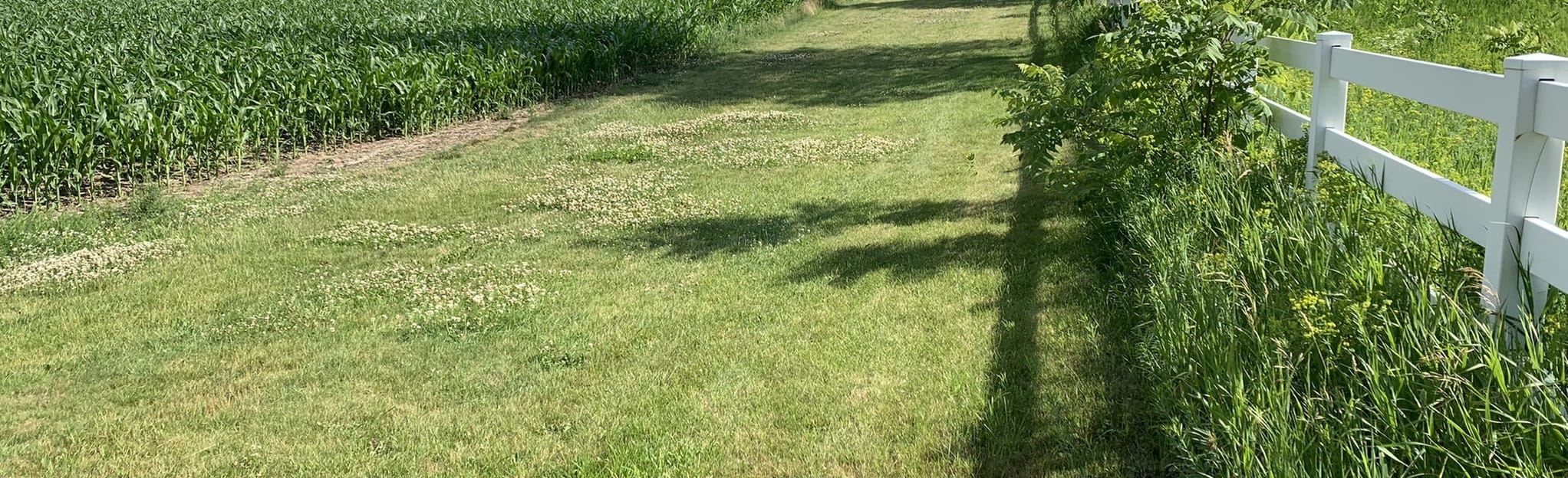 Pope Farm Country Walk: 22 Reviews, Map - Wisconsin | AllTrails