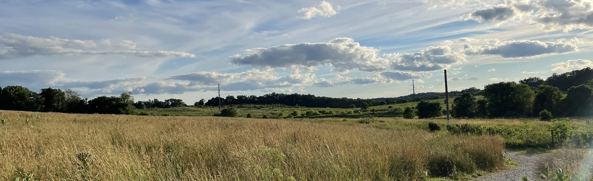 Turkey Hill and Chestnut Grove Trail Loop : 629 Reviews, Map ...