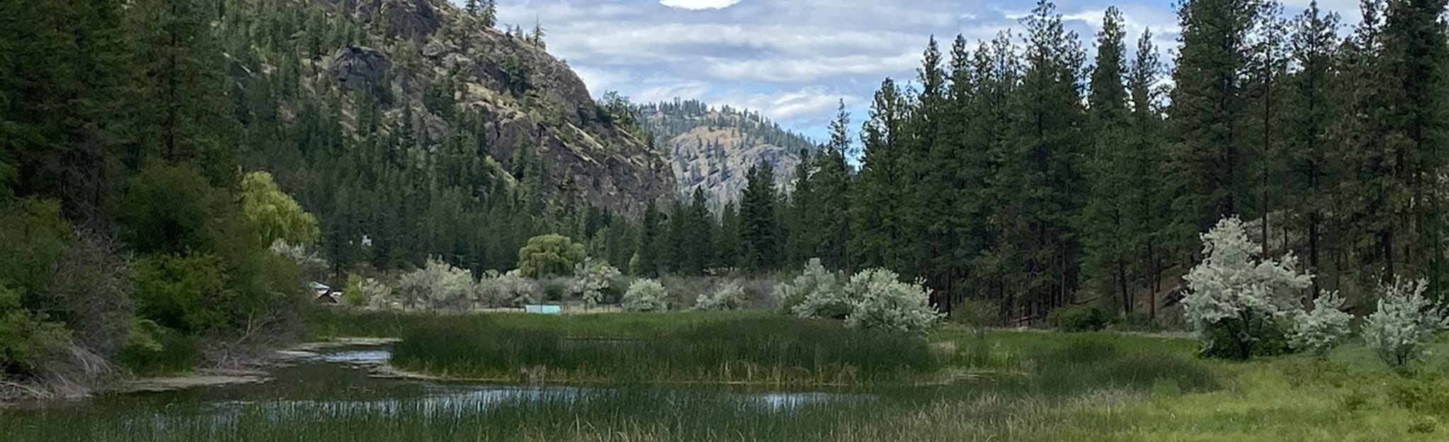 Short White Lake Grasslands loop: 2 Reviews, Map - British Columbia ...