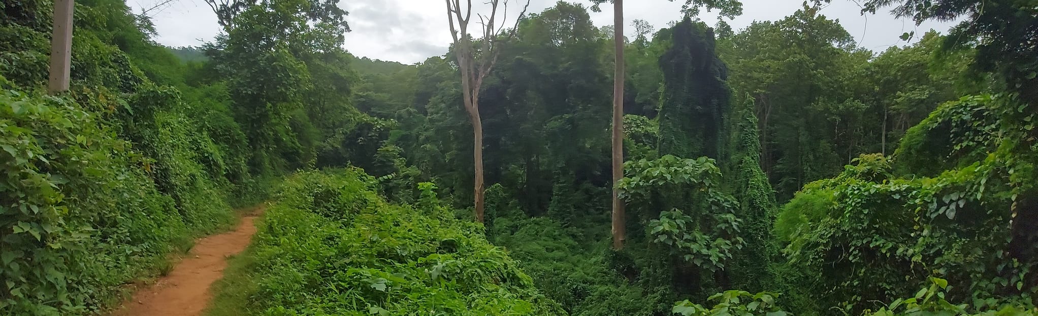 Sagee Waterfall Loop, Chiang Mai, Thailand - 4 Reviews, Map | AllTrails