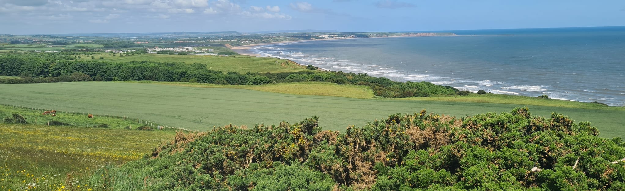 Filey and Hunmanby Sands: 29 foto's - North Yorkshire, Engeland ...