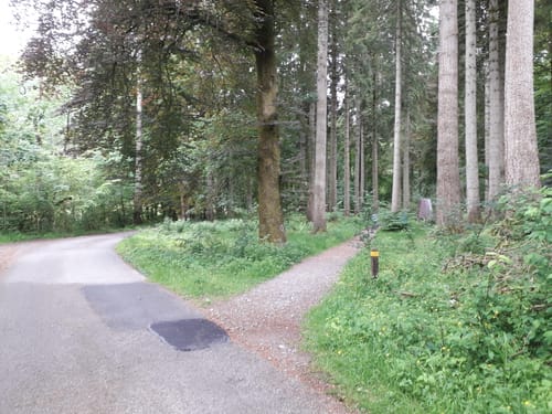 2023 Best 10 Walking Trails in Hawkshead | AllTrails