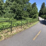 Noonday Creek Trail, Georgia - 336 Reviews, Map | AllTrails