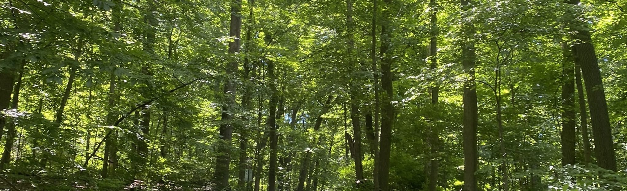 Spring Mountain Ski Area: 380 Reviews, Map - Pennsylvania | AllTrails