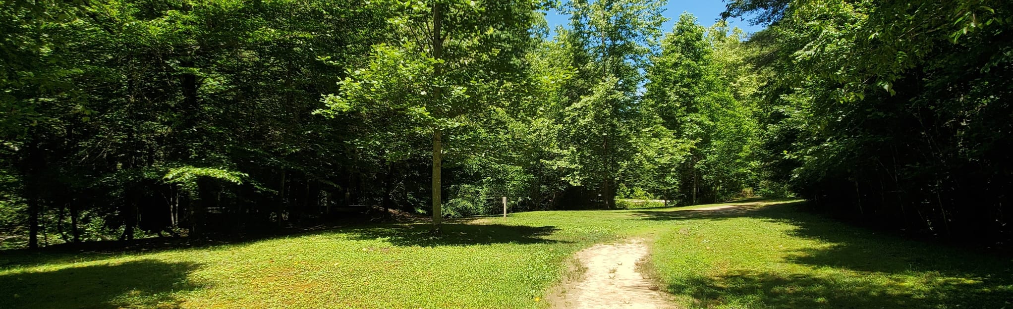 Muir Valley Trails, Kentucky - 81 Reviews, Map | AllTrails