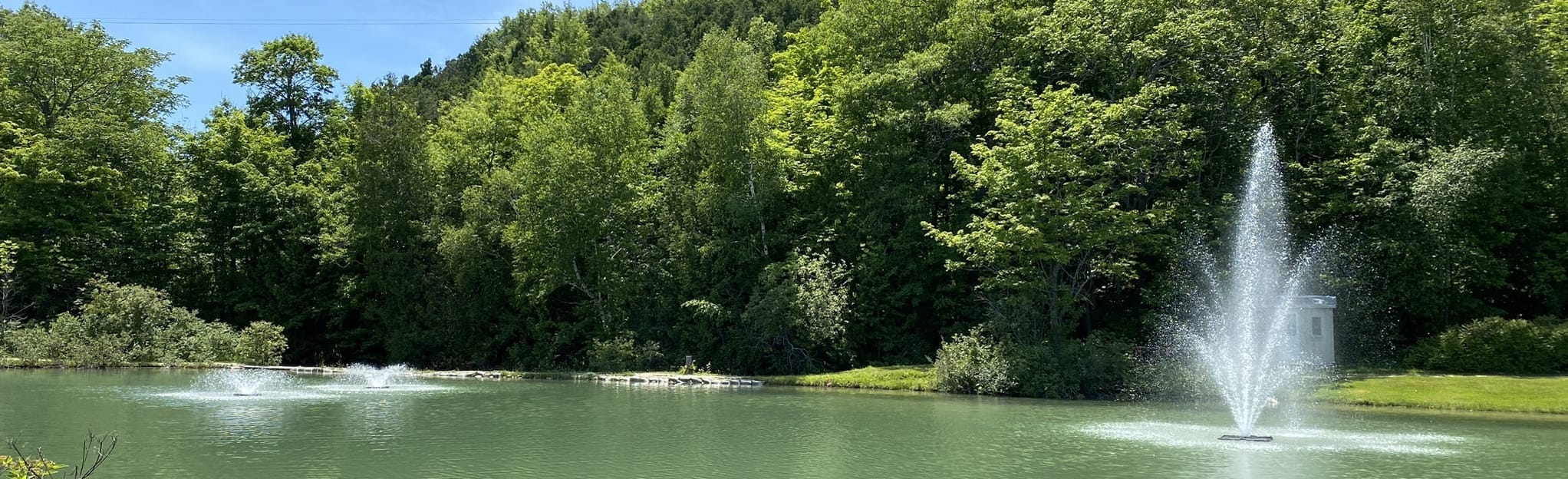 Scenic Caves Nature Adventures Trail, Ontario, Canada - 215 Reviews ...