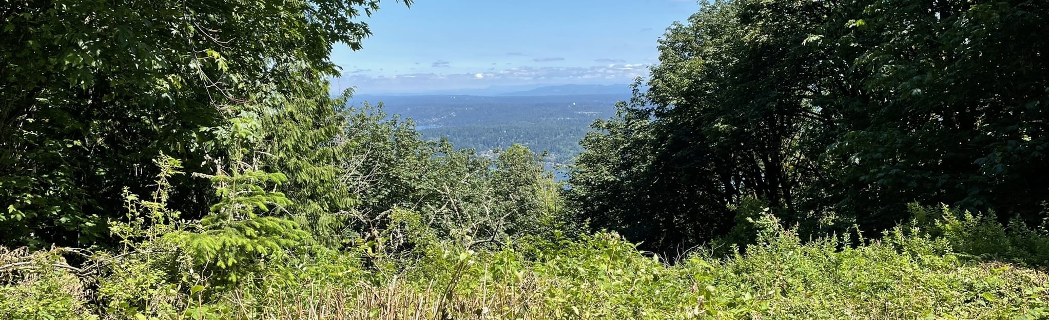 Big Tree Ridge Trail, Washington - 455 Reviews, Map | AllTrails