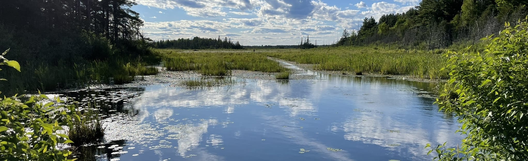 Huckleberry Trail, Ontario, Canada - 55 Reviews, Map | AllTrails