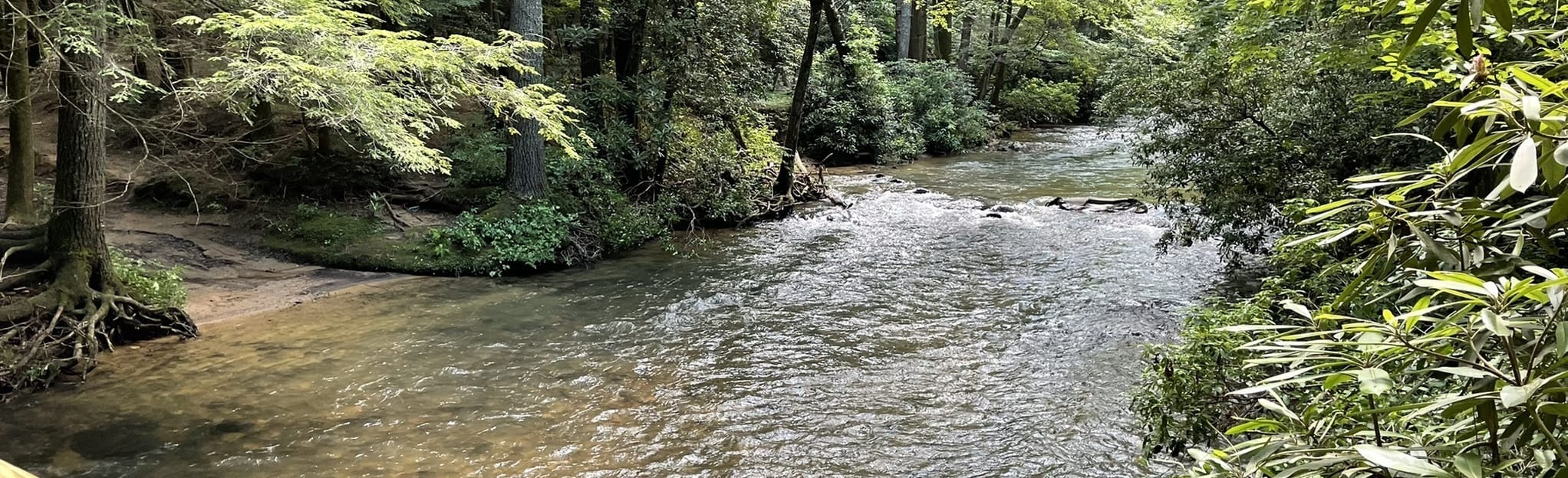 Wildcat Creek and Turner Trail, Georgia - 383 Reviews, Map | AllTrails