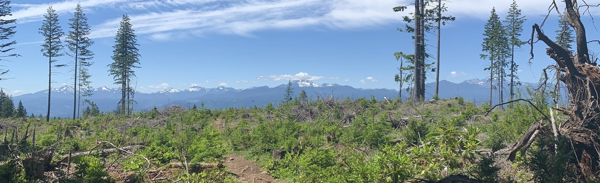 Plummer and Beaver Pond Trail - Washington | AllTrails
